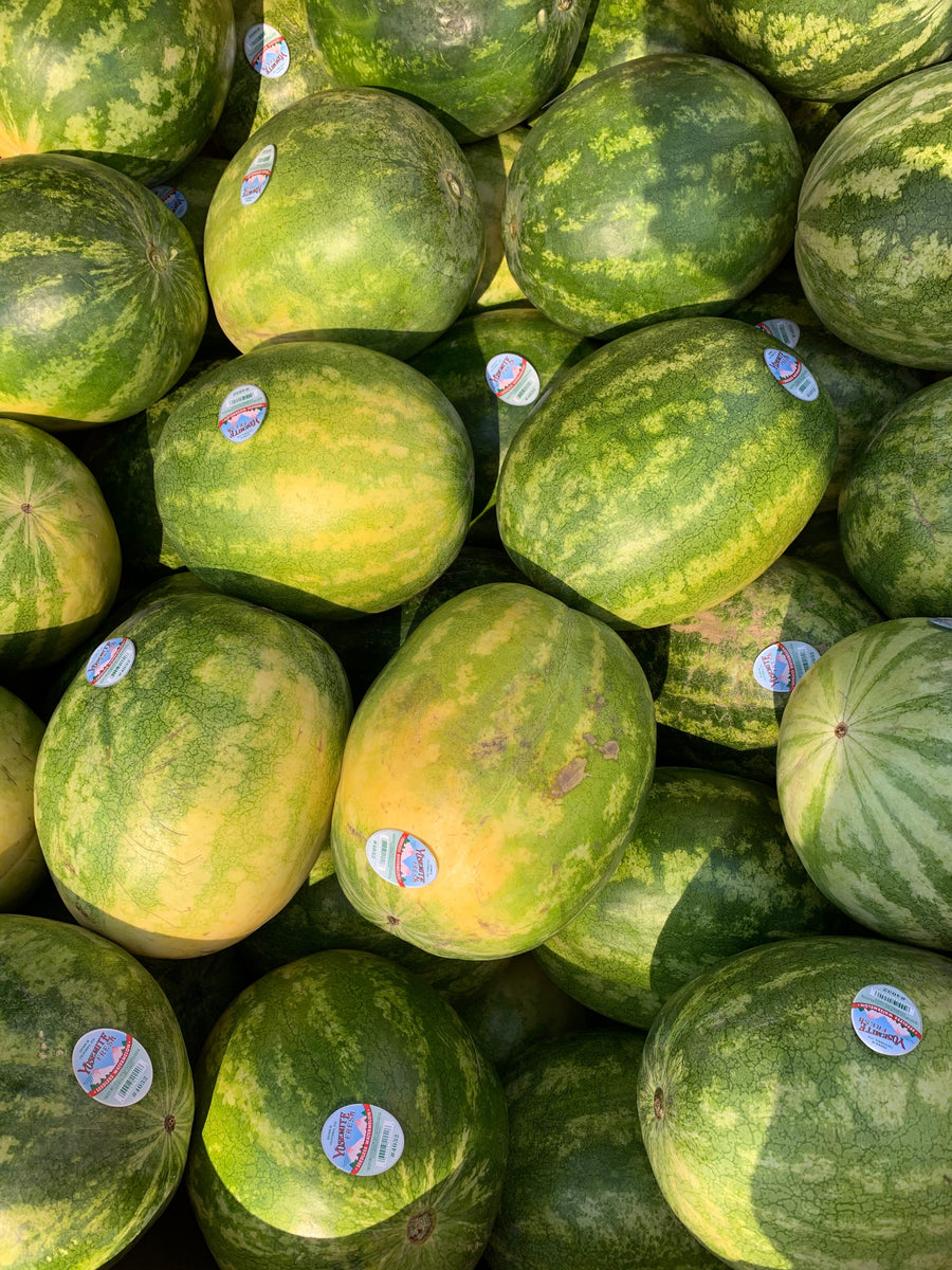 Yosemite Watermelon – Mr. Jack O' Lanterns Pumpkins